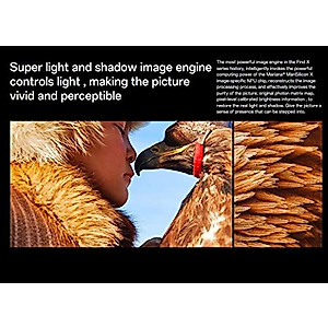 Original Oppo Find X6 Pro 16G+512GB 5G Mobile Phone Snapdragon 8Gen2 6.82'in 120Hz Screen IP68 100Wcharge 1"in outsole wide angle 5000mAh Global Warranty by-（CTM Global Store） (Brown (Vegan Leather))