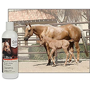 UltraCruz - sc-395301 Equine Bright White Horse Shampoo, 16 oz