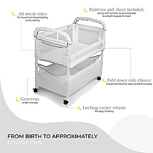 Arm’s Reach Clear-Vue Co-Sleeper Bedside Bassinet Featuring Clear Mesh Panels with Fold-Down Side, Large Attached Storage Basket, 4 Wheels, and Height-Adjustable Legs