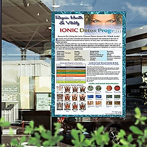 Ion Detox Ionic Foot Bath Spa Chi Cleanse Promotional Poster. 11 X 17 Laminated. Increase your Detox Foot Spa Sessions and Increase Income. Colorful Promotional Poster for Detox Foot Spa