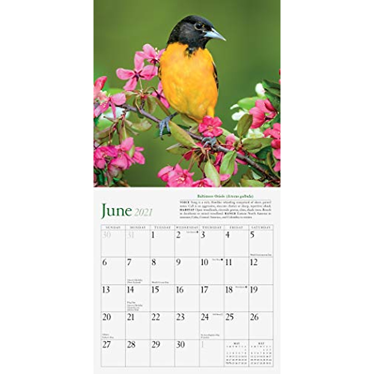 Audubon Songbirds Mini Wall Calendar 2021