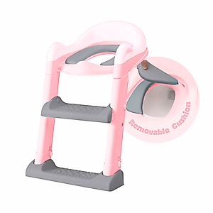 Ashtonbee Mountable Potty Seat (with steps, Pink)
