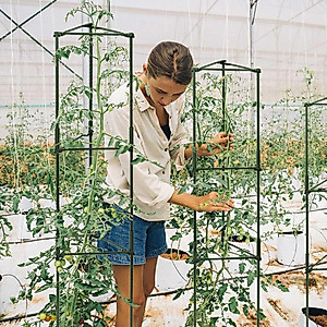 arbxvnr 3 Package up to 48in Tomato cage Garden Grid Plant Support Posts with Adjustable Tomato cage Vegetable Grid (3pack)