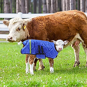 TEHAUX Goat Blanket, Sheep Blanket Livestock Shelter Windproof Goat Coat Warmming Thickened Calf Blanket for Calf Goat Horse Sheep - 108 * 85cm/42.44 * 33.41inch (Random Color)