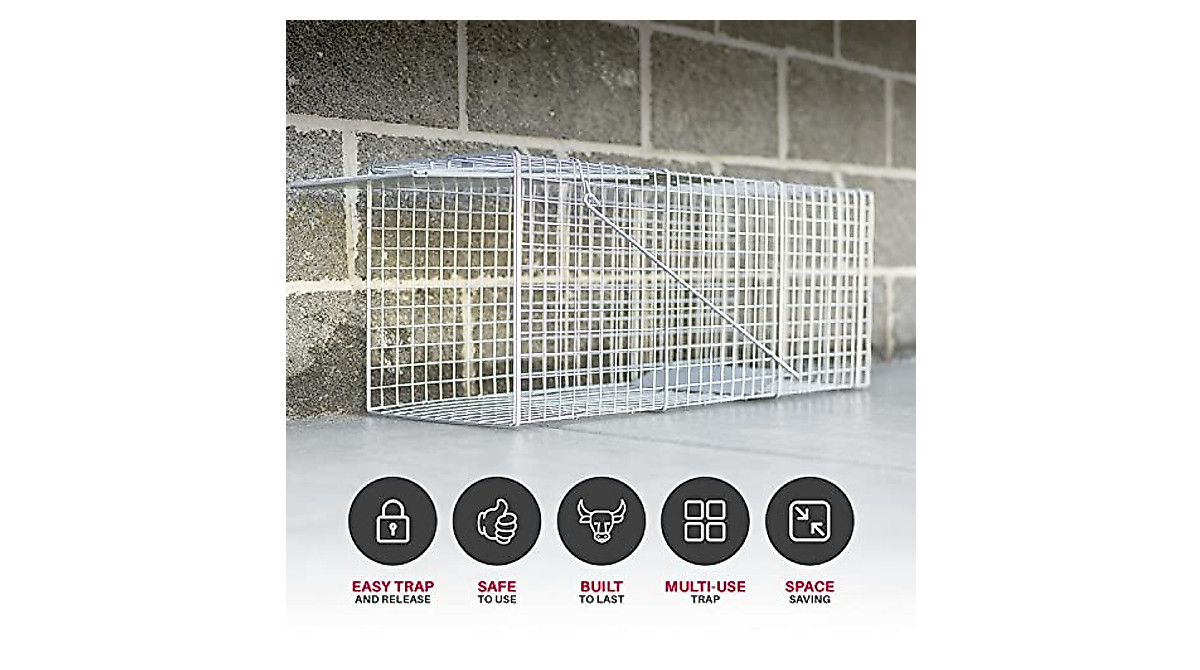 LifeSupplyUSA Humane Animal Traps - Safe & Easy to Use