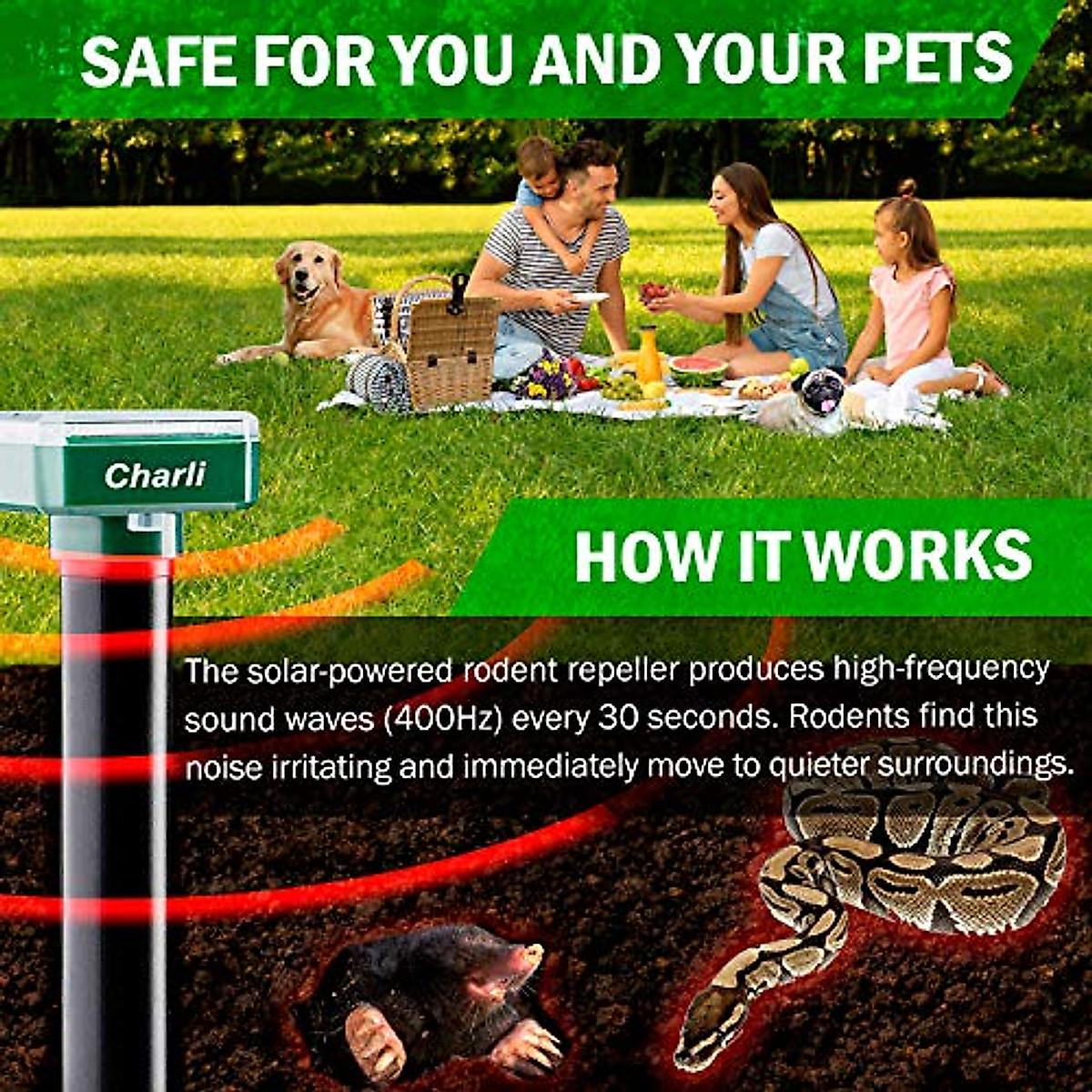 Charli New 8X Solar Sonic Mole Repellent Groundhog Repeller Gopher Deterrent Vole Chaser Snake Repellent Spikes Traps Rodents No Killing - Remove Burrowing Rodents (8) (8)