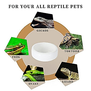 Reptile Food Bowls -Ceramic Round Reptile Water Food Dish, Pet Food Bowl for Lizards, Small Snakes, Young Bearded Dragons, Gecko Tortoise Spider (White, Large-1Pack)