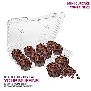 Stock Your Home Mini Disposable Plastic Cupcake Containers (20 Pack) 12 - Count Tray Compartment, Small or Mini Cupcakes Box/Holder/Carrier with Clear Connected Dome Lid, BPA Free