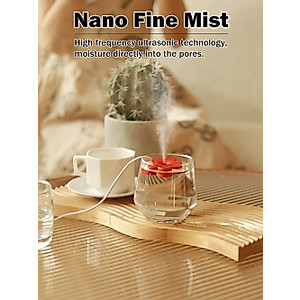 USB Mini Flower Humidifier, Creative Cute Humidifiers Small Personal Portable Air Humidifier Mist Machine Fog Maker Plant Humidifier for Home Bedroom Office Desktop (Flower-Blue+Red)