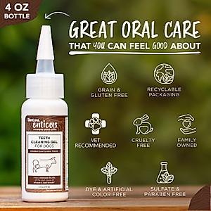 TropiClean Enticers Dog Teeth Cleaning Treat Gel | Smoked Beef Flavored Dog Toothpaste Alternative | 4 oz.