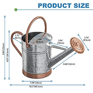 8pints 1 Gallon Watering Can for Outdoor Plants - Metal Watering Can for Outdoor Plants House Plant Watering Can with Sprinkle Head Perfect Watering Can Indoor Plants for Outdoor and Indoor Gardening