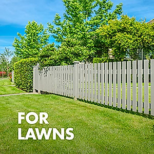 Spectracide Immunox Fungus Plus Insect, 1 Pack