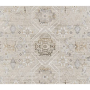 Momeni Cambridge Viscose and PES Traditional Indoor Area Rug, Grey, 3'11" X 5'5"