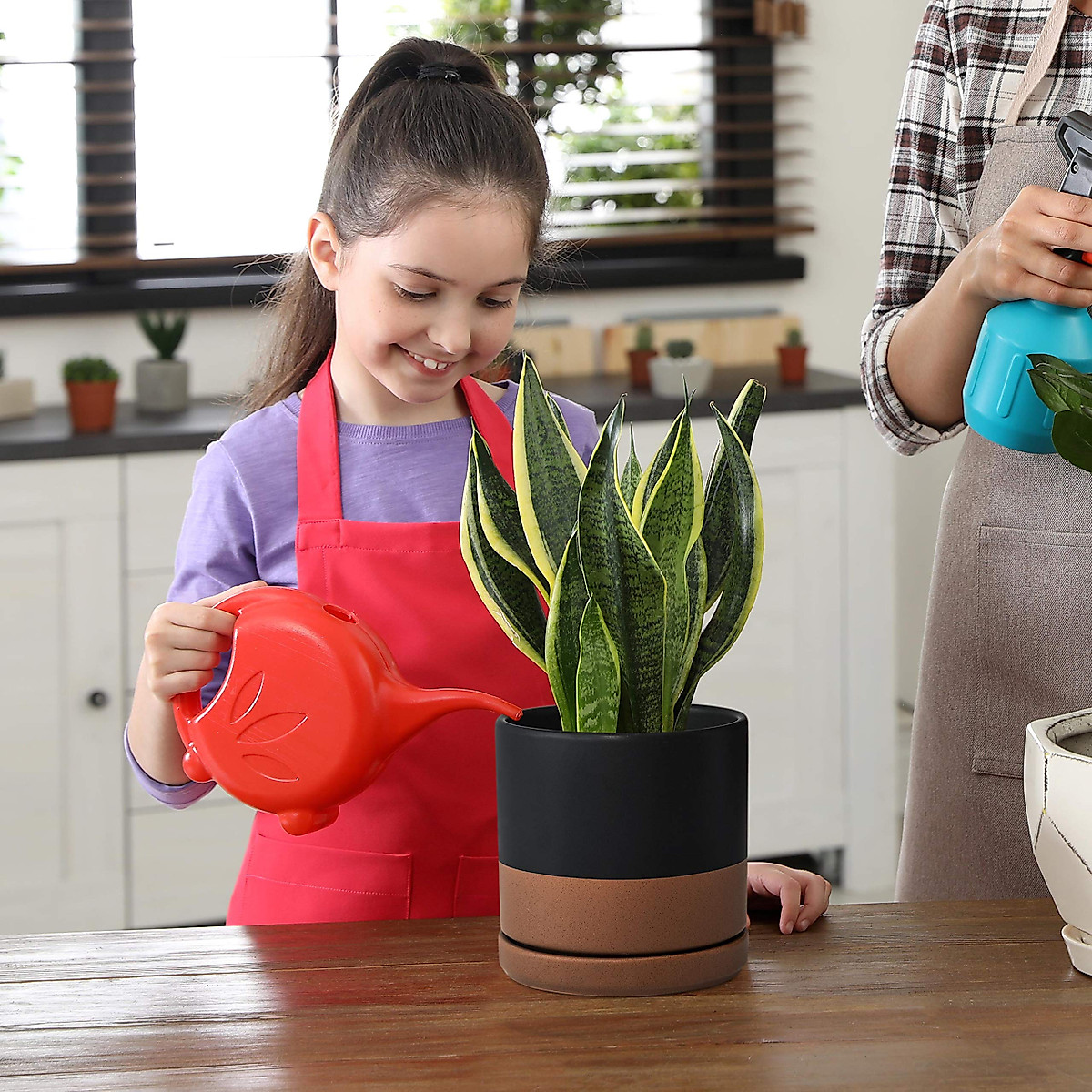 D'vine Dev 6 Inch Ceramic Planter Pot with Drainage Hole and Saucer, Indoor Cylinder Round Planter Pot, Black/Speckled Tan, 94-O-S-7