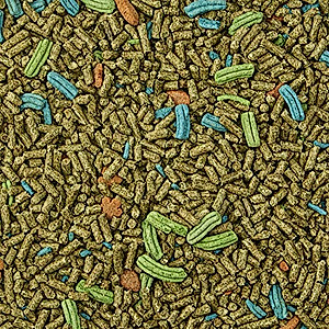 Kaytee Forti-Diet Pro Health Adult Rabbit Food, 5-Lb Bag