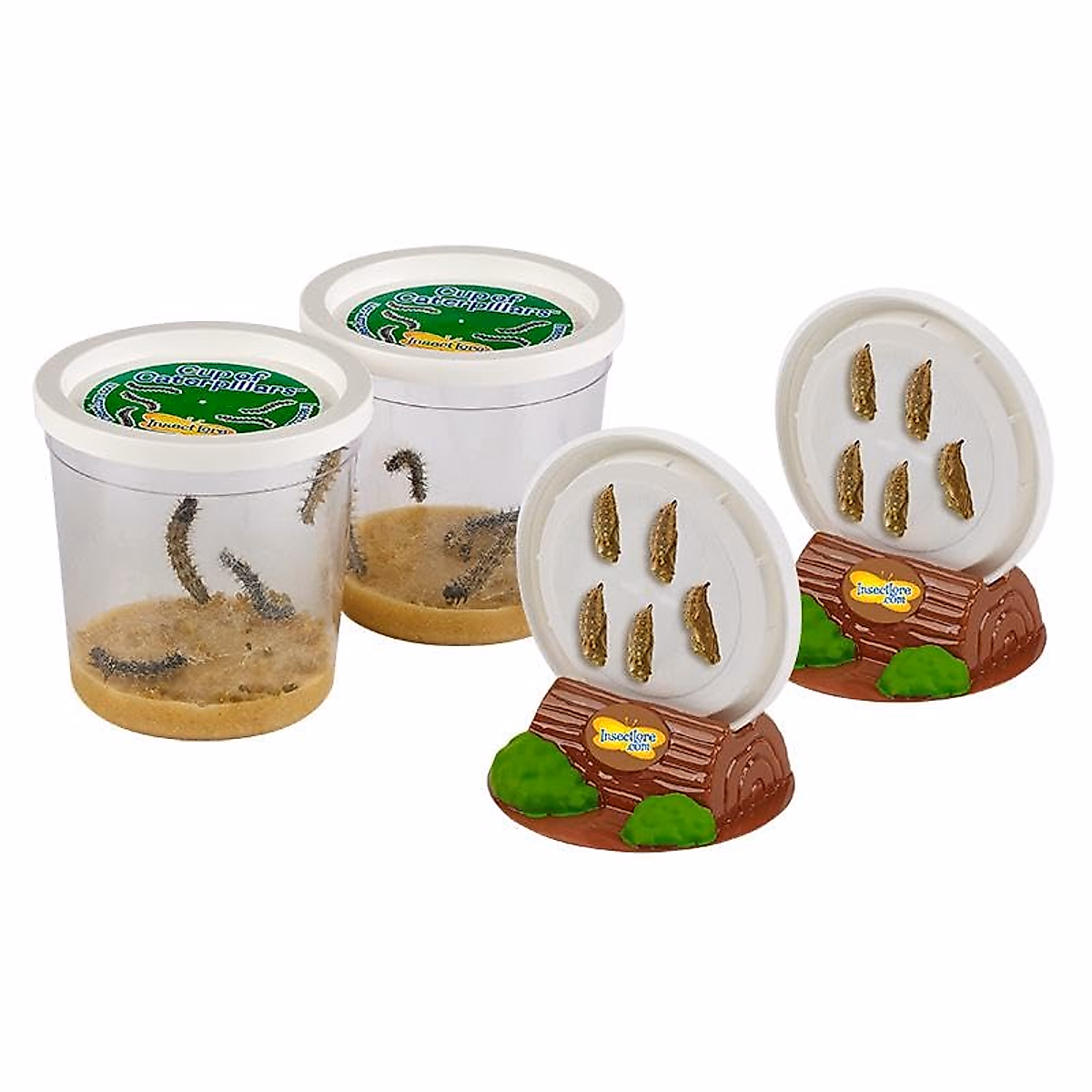 Insect Lore Butterfly Garden | 10 Live Baby Caterpillars | Habitat, STEM Journal, Chrys-A-Lids, Feeder | Raise and Release Painted Lady Butterflies