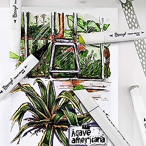 Bianyo Classic Series Alcohol Markers Set, Pack of 72, Dual Tip Bullet & Chisel Art Marker Set, Black Case with a Designable Card for Coloring, Drawing, Sketching, Outlining, Highlighting, Designing