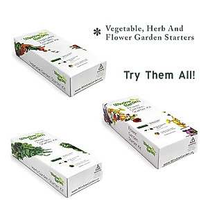 Window Garden Mammoth Sunflower Grow Kit - Giant Sunflower Planting Seeds Starter Pack - Germinate Seeds on Your Windowsill, Mini Greenhouse System - with 10 Fiber Soil Seed Starters