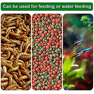 WEAVERBIRD 6Pcs Glass Reptile Feeder Food Bowl,Food Basin Tray Container Water Dish Cup, Reptile Terrarium Water Bowl,Round Water Dish Cup for Small Pet Lizard Turtle Spider Scorpion Frog Cricket