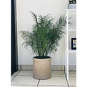 Kante Large Concrete Round Classic Planter for Outdoor, Desert Sand 13.8" x 13.8" x 13.8"