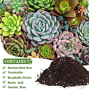Halatool 6 QT Organic Top Soil Garden Succulent Soil for Indoor & Outdoor Plants Bonsai Cactus Soil Potting Mix for Houseplants Flowers Vegetables & Herbs