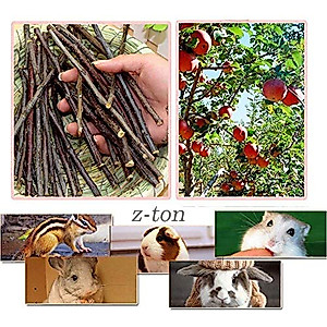Z-TON Apple Sticks Pet Chew Toys for Chinchillas Guinea Pigs Rabbits Small Animals (100g)