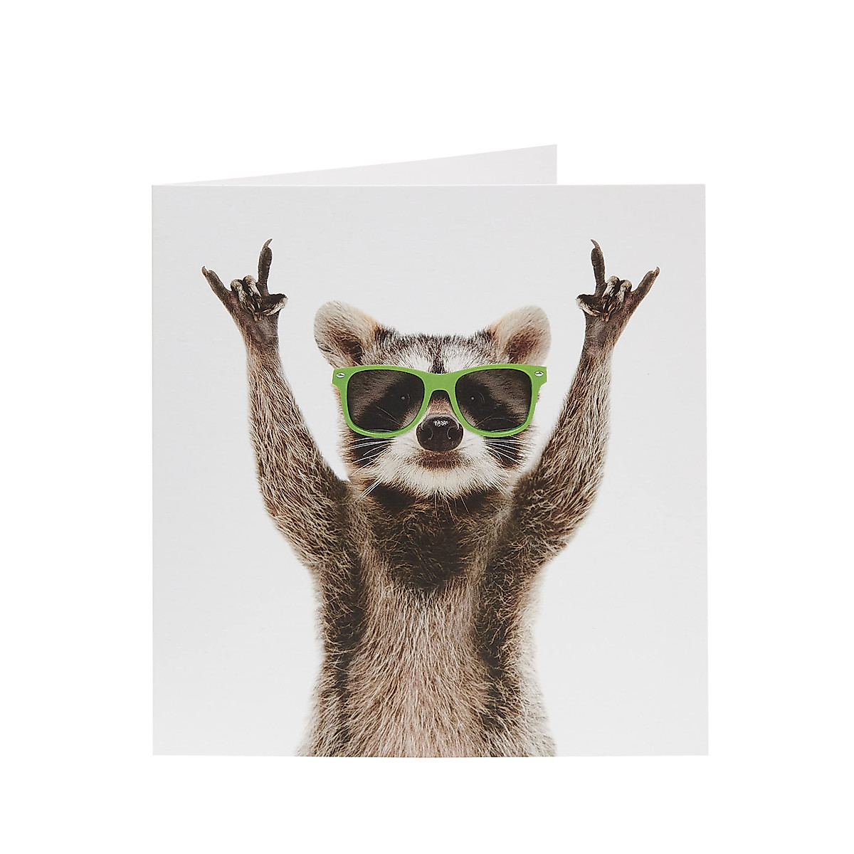 UK Greetings Birthday Card For Him/Male/Friend With Envelope - Raccoon Design