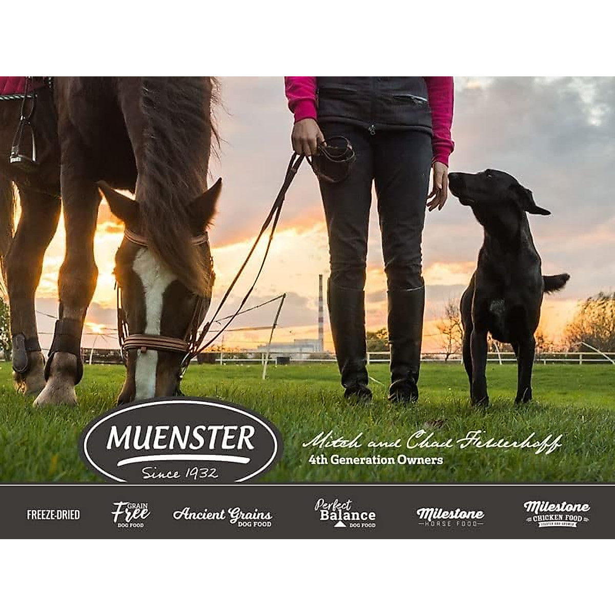 Muenster Grain Free with Salmon – Dry Dog Food or Mixer with Fish Protein - Complete and Balanced Kibble for Large, Medium or Small Breed Dogs, 4 lb