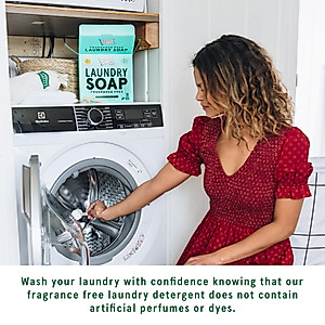 Ingredients Matter Powder Laundry Soap - Fragrance Free, Hypoallergenic Detergent, Natural & Eco-Friendly, Plastic Free, Made in USA, Natural Essential Oils & Dermatologist Tested - 36 oz, 72 Loads