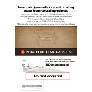 Roichen BESPOKE BRUNCH PAN, EGG PAN, CERAMIC PAN, OVEN AVAILABLE(5 colors available, Handle is not included - sold seperately)… (blue green)