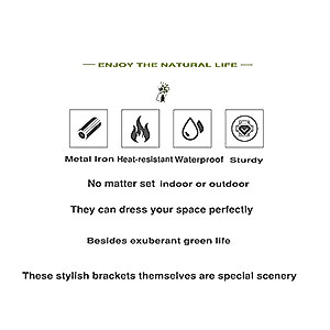 Citrine Garden Simply Style Metal Hanging Plant Brackets 10inch, Pack of 2, Wall Mount Plant Hangers, Planter Hooks for Flower Baskets, Bird Feeders in Corridor/Patio/Porch/Garden