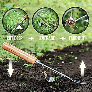 Betus Manual Hand Weeder - Bend-Proof Leverage Base for Super Easy Weed Removal & Deeper Digging - Sturdy Chrome Plated Steel - Compact Garden Weed Puller Tool for Yard Lawn and Farm