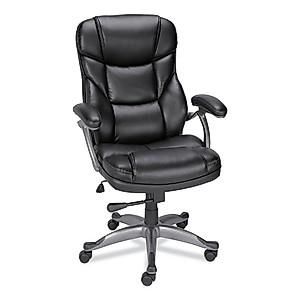Alera ALEBN41B19 18.11 in. - 22.05 in. Seat Height Birns Series High-Back Task Chair Supports Up to 250 lbs. - Black Seat/Back, Chrome Base