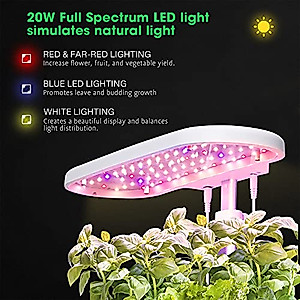 VIVOSUN Hydroponics Growing System, 10 Pods Smart Indoor Herb Garden Kit with Grow Light, 18.5" Height Adjustable Indoor Hydroponic Garden for Fruits, Flower & Vegetables