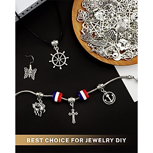 JIALEEY 300 PCS Wholesale Bulk Lots Jewelry Making Charms Mixed Smooth Tibetan Silver Alloy Charms Pendants DIY for Bracelet Necklace Jewelry Making and Crafting