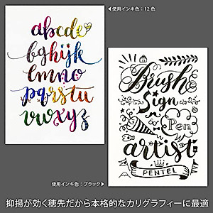 Pentel AMZ-SESF30C-12 Blush Sign Pen Artist Brush Pen, Set of 12 Colors