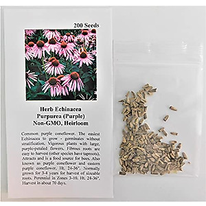 David's Garden Seeds Herb Echinacea Purpurea FBA-00023 (Purple) 200 Non-GMO, Heirloom Seeds