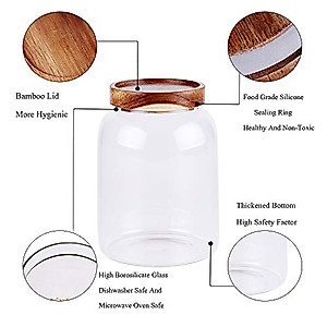 LEAVES AND TREES Y Glass Storage Jar, Food Storage Container/Canisters with Airtight Lid for Serving Tea, Coffee, Honey.Spice, Perfect as a Cereal Dispenser (6.3 inch high)