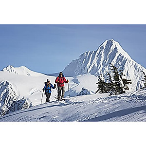 Crescent Moon Men's Backcountry Snowshoes - Gold 10 (Lollipop Blue)