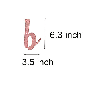 WEIANDBO 90 & Fabulous Rose Gold Glitter Banner,Pre-Strung,90TH Birthday/Wedding Anniversary Party Decorations Bunting Sign Backdrops,90 & fabulous