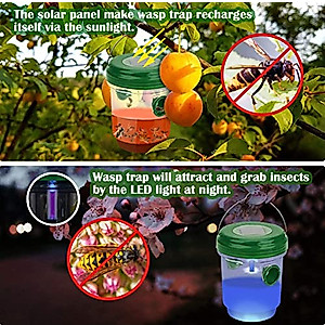 KENW Wasp Trap, 2 Pack Wasp Traps Outdoor Hanging, Solar-Powered Yellow Jacket Trap, Bee Traps for Outside, Hornet Trap, Wasp Killer, Effective Hornet Traps Outdoor Hanging, Bee Catchers for Outside