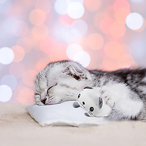 Skylety Plush Toys Set, 4 Pieces Cute Panda/Pig/Squirrel/Cat Stuffed Animal Toy Decoration Cuddly Plush Pillows Hugging Pillow Kawaii Plush Toy Comfortable Cushion Toy Gifts for Valentine, Birthday