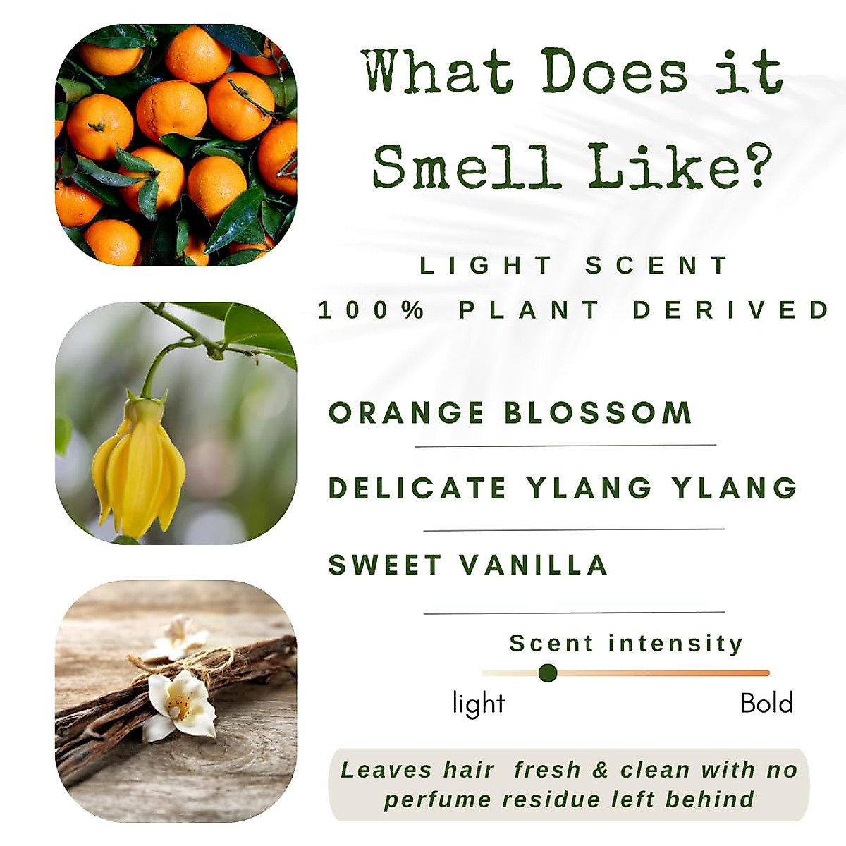 /liv/ Nature Shampoo Bar and Conditioner Set with Travel Case | Volume and Moisture for Dry Hair | Orange, Ylang Ylang, Argan Oil | Made in USA | 2-pk