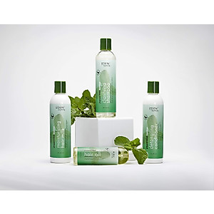 EDEN BodyWorks Peppermint Tea Tree Clear Clarifying Shampoo for Oily Hair, Dry Hair, Curly Hair - Scalp Cleansing Shampoo for Build Up & Dandruff - Paraben & Sulfate Free - 8 oz.