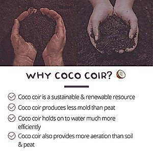 Pure Coconut Coir Netted Seed Starting Pellets - 42mm - Pack of 100 - Sustainable, Renewable, Unamended - Superior to Peat Plugs - High Water Holding - Minimize Root Loss & Transplant Shock