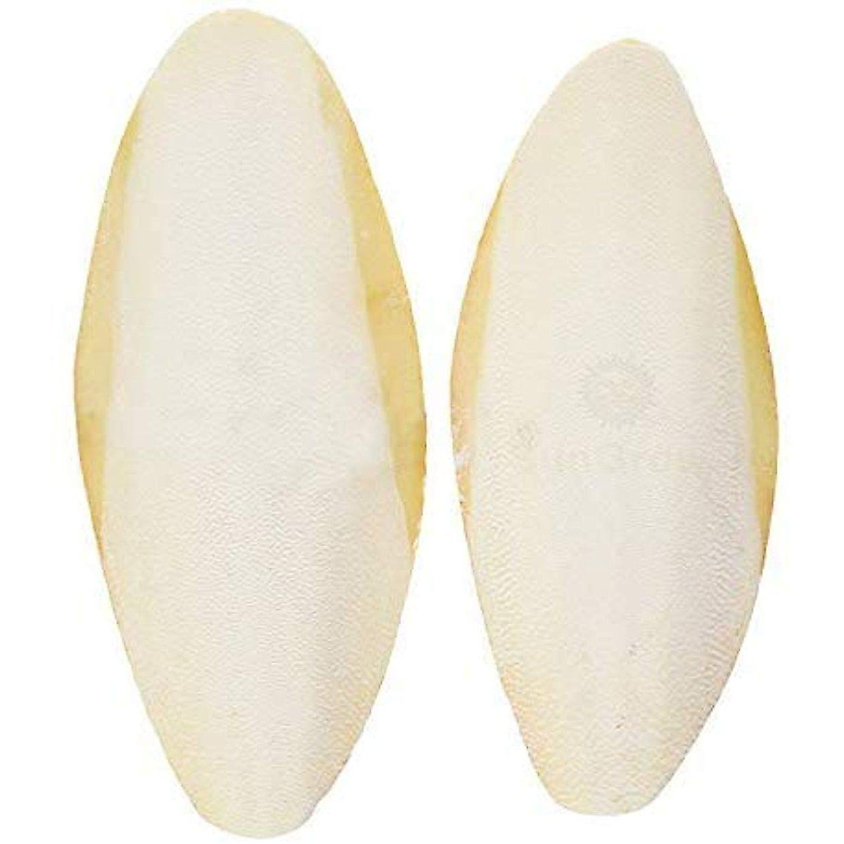 SunGrow 2 Pack Cuttlefish Bones, 6 inch, Made with Real Cuttle Fish, Calcium Source for Parakeets, Turtles, Dog, Chicken, Pleco, Snails, and Shrimps