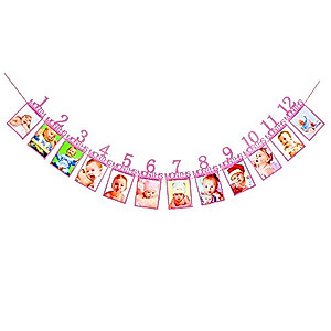 1st Birthday Party Banner, Baby's First Birthday Party Sign Decors, Recording Baby from 1-12 Month Growth Photo Booth Supplies - Pink Color