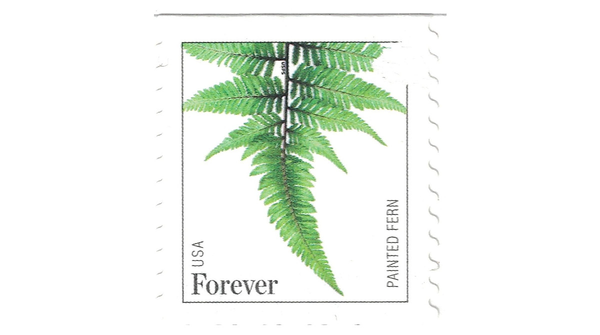 USPS Ferns Forever Stamps | 50 Self-Adhesive Postage