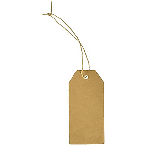 Wrapables 50 Gift Tags/Kraft Hang Tags with Free Cut Strings for Gifts, Crafts & Price Tags - Original Tag