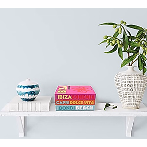 TwoDays Preppy Room Decor Aesthetic, Preppy Decorative Books, Coffee Table Books Decor, Faux Books for Decoration, Bookshelf Decor, Fake Books, Preppy Stuff, Preppy Things. (Set of 3)